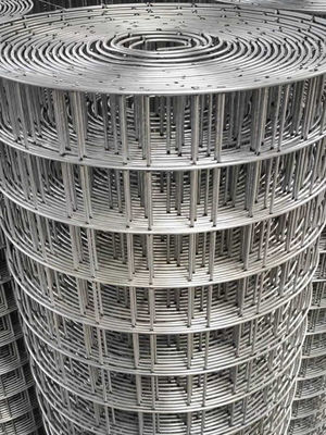 Galvanized welded net fence breeding rat proof net corn net in Anping ...