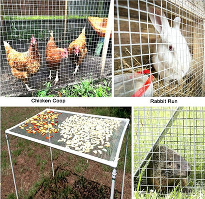 Galvanized welded net fence breeding rat proof net corn net in Anping ...